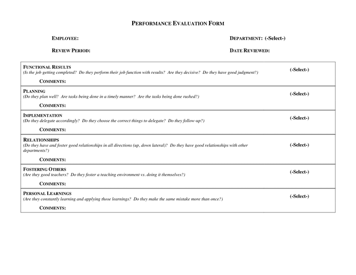 PERFORMANCE EVALUATION FORM Sample In Word And Pdf Formats