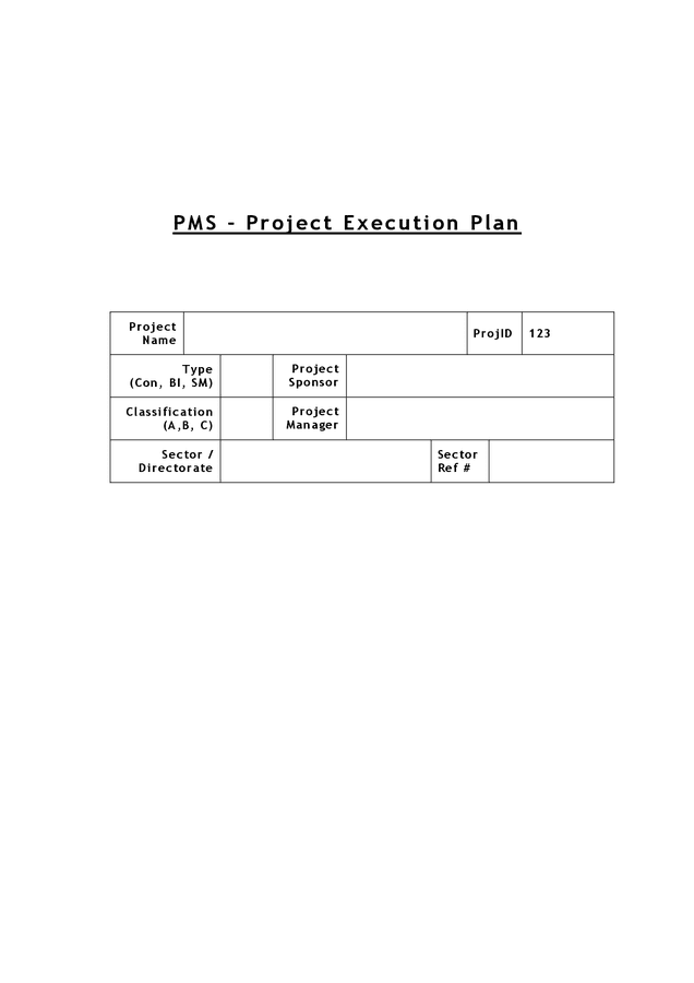 Project execution plan in Word and Pdf formats