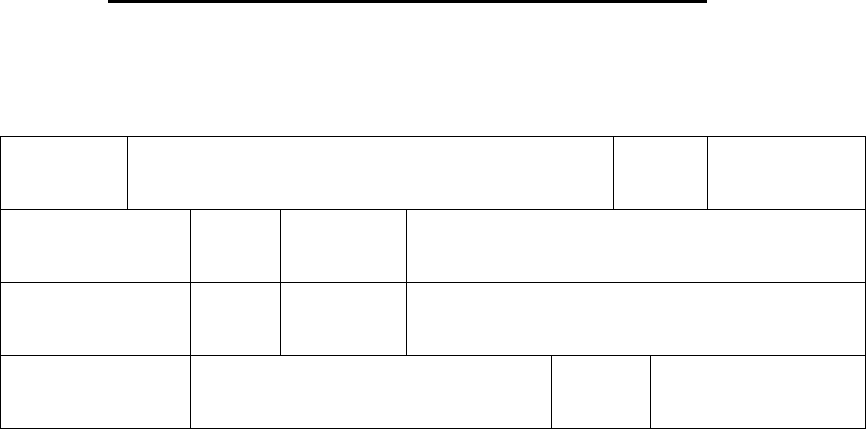 Project execution plan in Word and Pdf formats