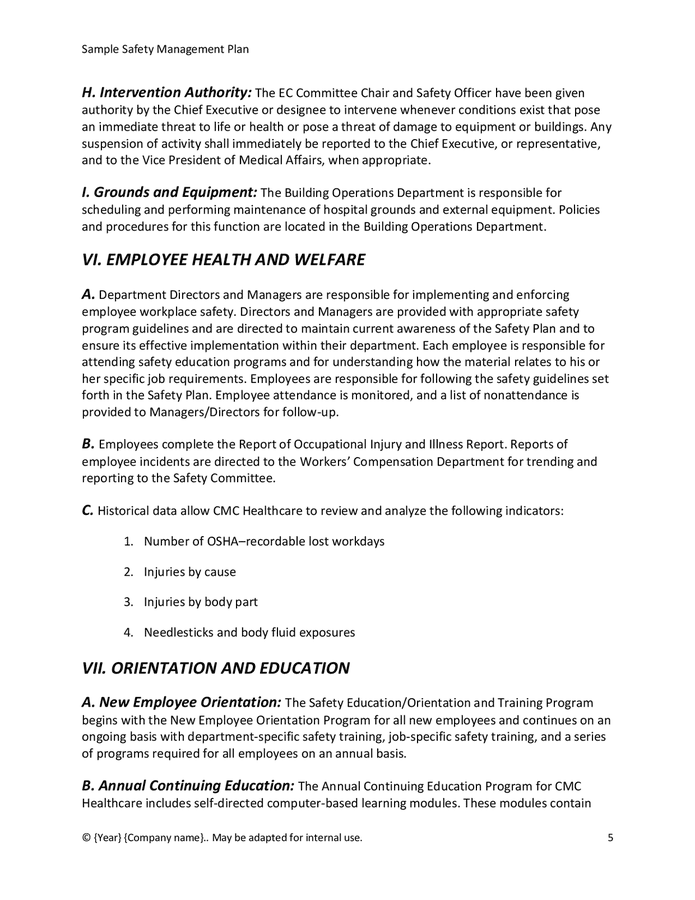 Sample safety management plan - healthcare org in Word and Pdf formats ...