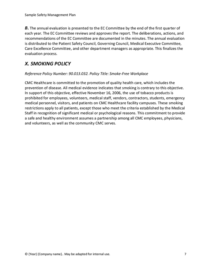 Sample safety management plan - healthcare org in Word and Pdf formats ...