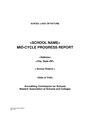 School mid-cycle progress report template in Word and Pdf formats