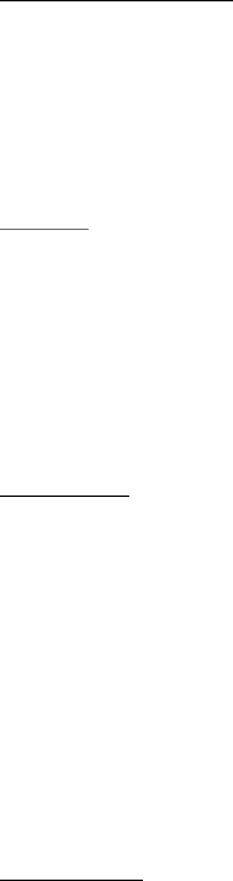 Outdoor event management plan template in Word and Pdf formats - page 4 ...