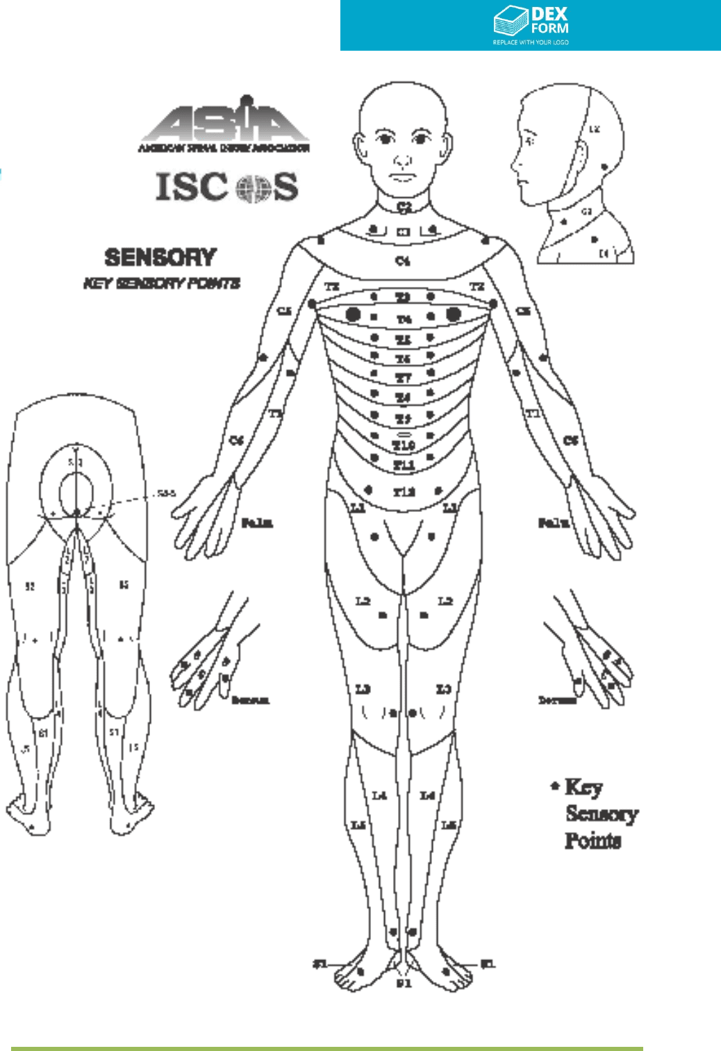 Neurosurgery pre-assessment clinic proforma in Word and Pdf formats ...