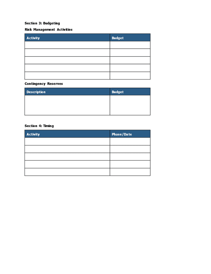 Risk management plan template in Word and Pdf formats - page 3 of 6