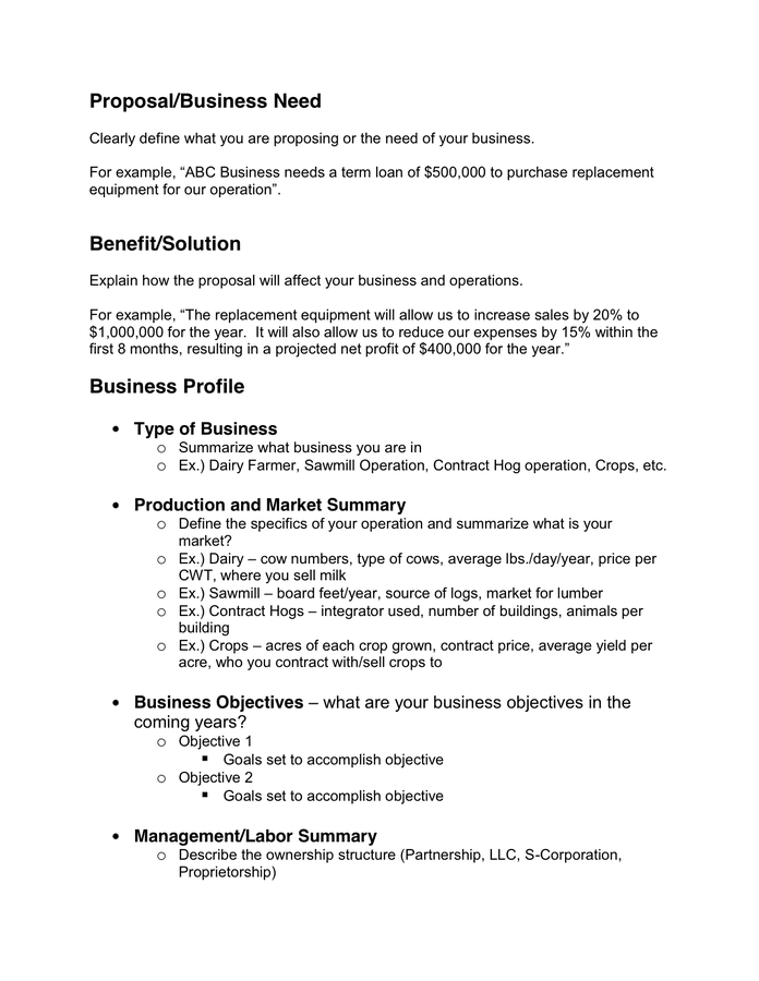 Business Plan in Word and Pdf formats - page 2 of 4