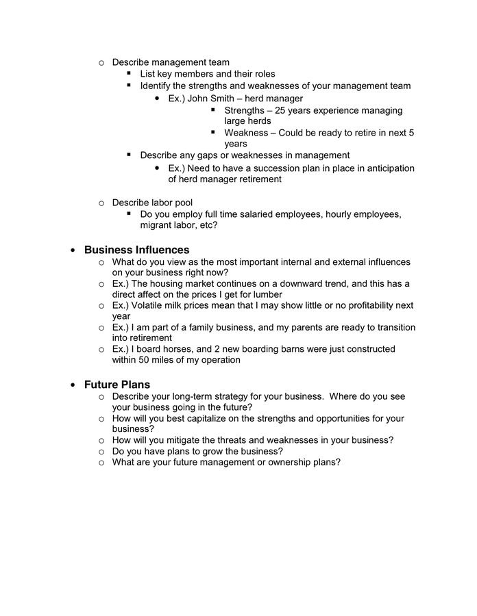 Business Plan in Word and Pdf formats - page 3 of 4