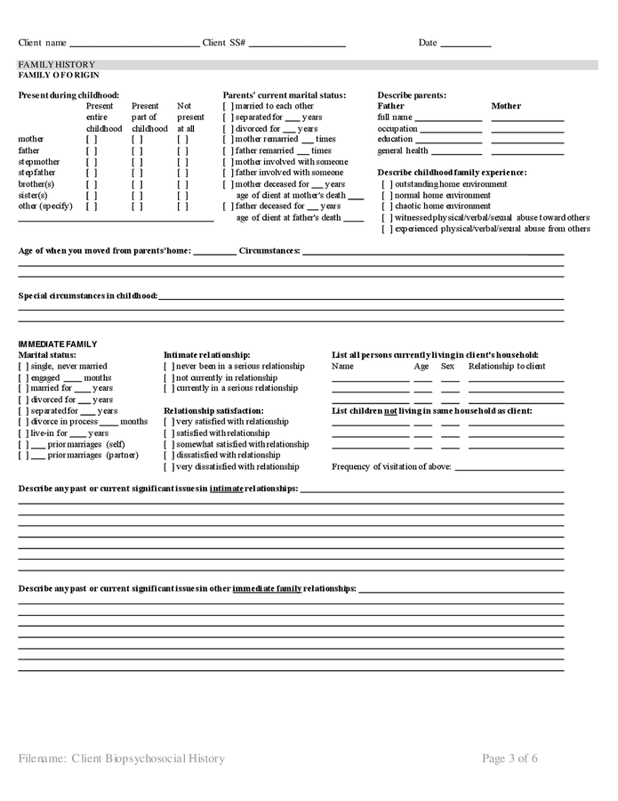 Biopsychosocial history form in Word and Pdf formats - page 3 of 6