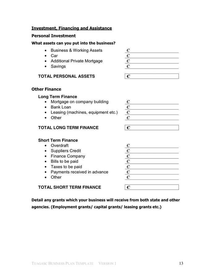 Teagasc business plan template in Word and Pdf formats - page 13 of 20