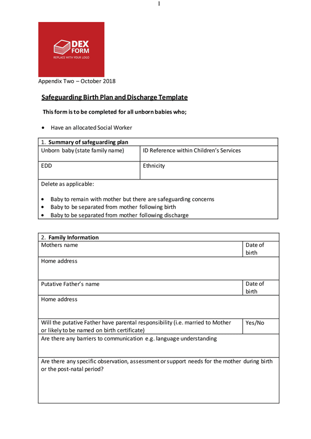 Safeguarding birth plan and discharge template in Word and Pdf formats
