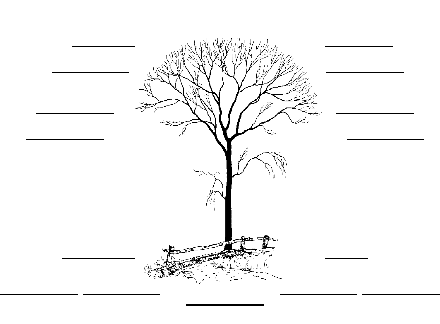 Family tree template in Word and Pdf formats