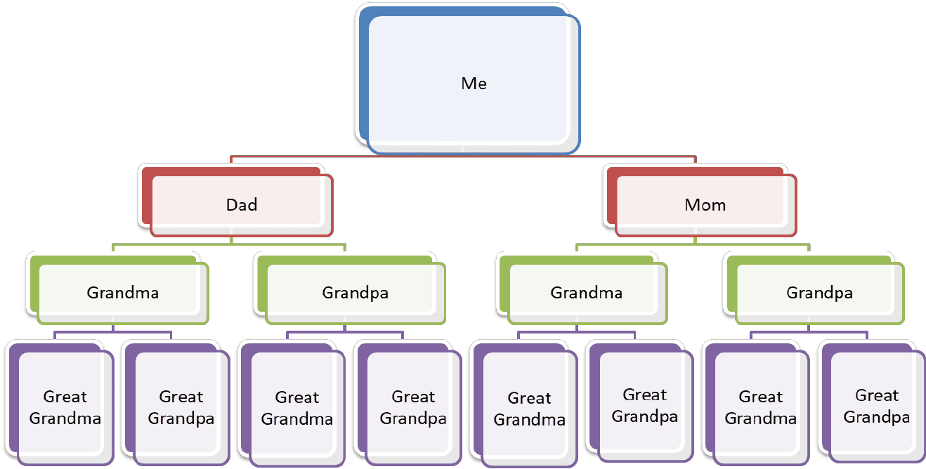 Family tree template in Word and Pdf formats