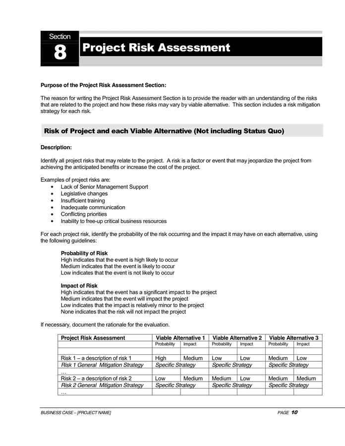 Business Case Template in Word and Pdf formats - page 11 of 18