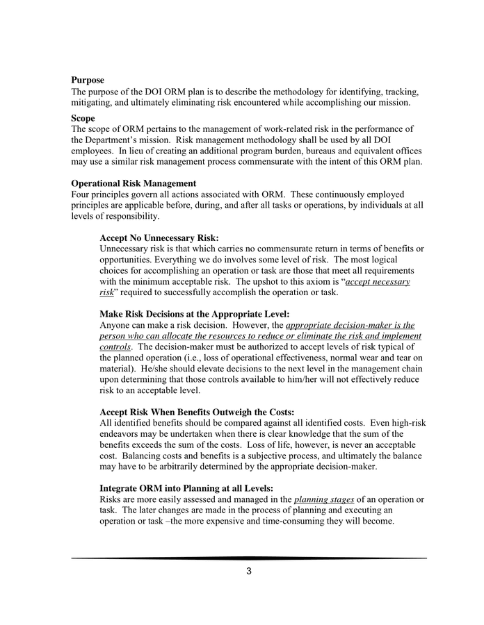OSI Risk Management Plan Template in Word and Pdf formats - page 3 of 10