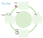 Story map template in Word and Pdf formats