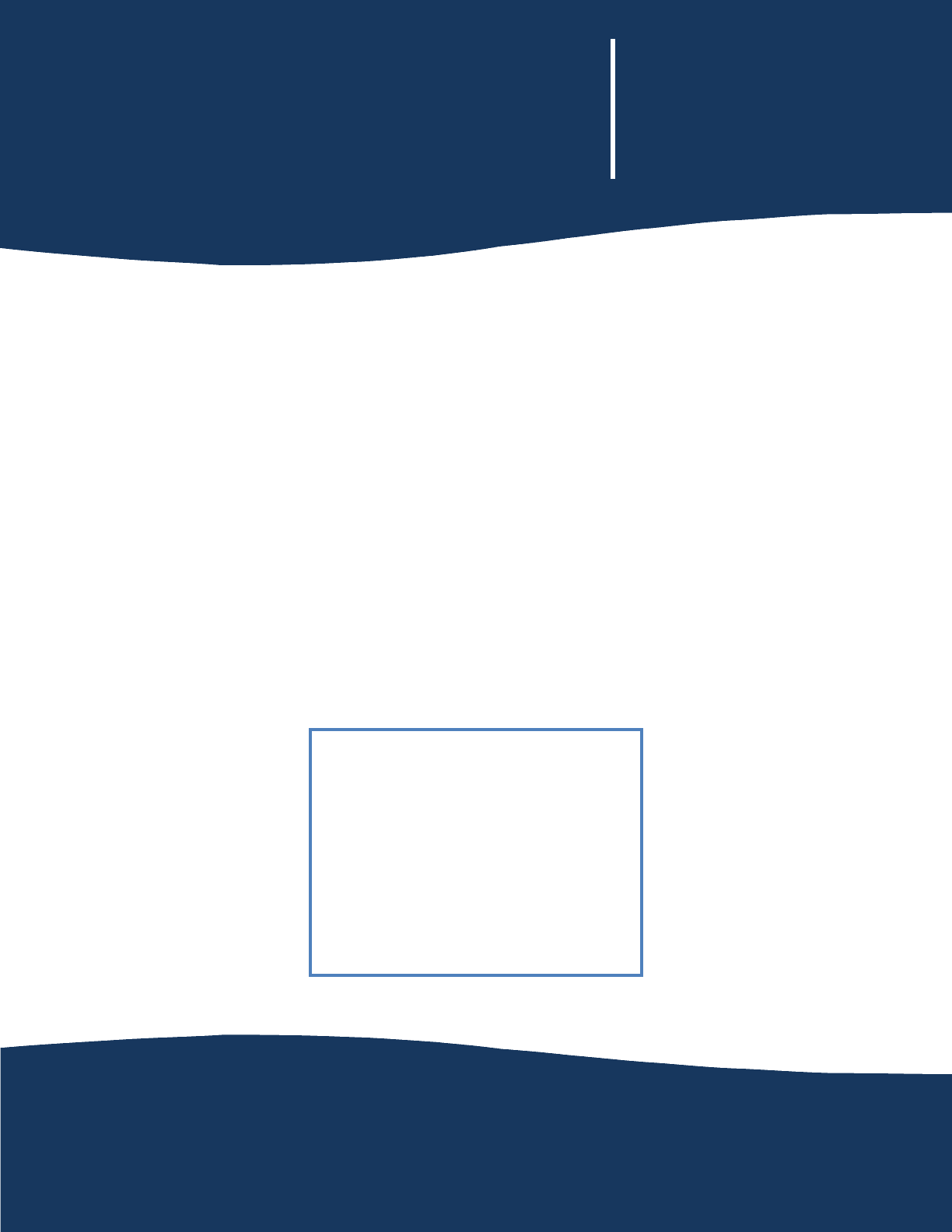 Biography template in Word and Pdf formats