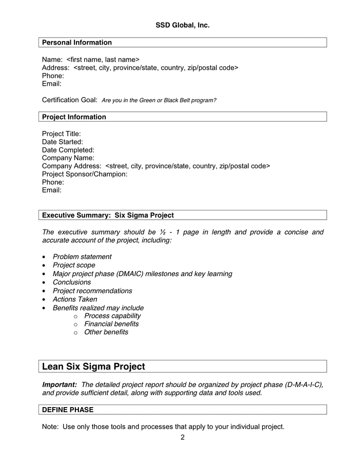 Six Sigma Project Report Template In Word And Pdf Formats Page 3 Of 6