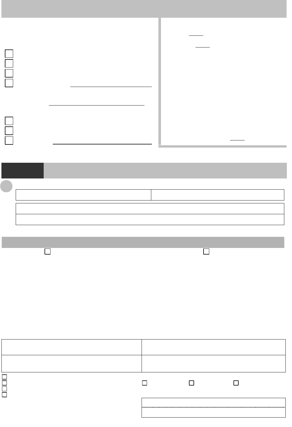 Financial Statement form in Word and Pdf formats