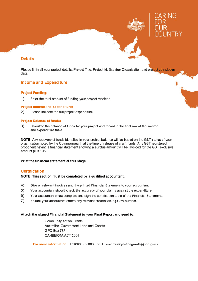 Financial Statement template in Word and Pdf formats