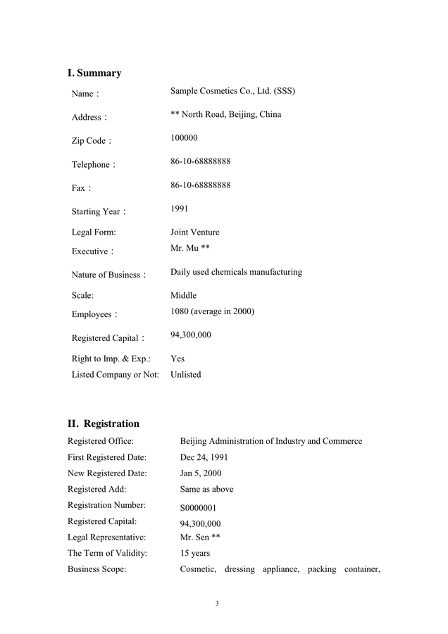 Business Credit Report in Word and Pdf formats - page 3 of 3