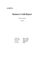 Business Credit Report in Word and Pdf formats