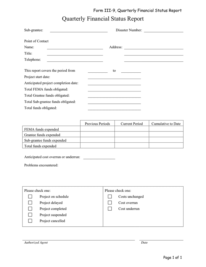 Monthly Project Status Report in Word and Pdf formats