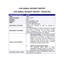 Cargo Incident Report in Word and Pdf formats