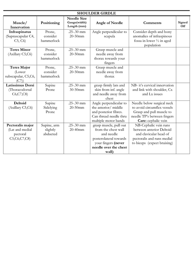 Level 1 muscle chart in Word and Pdf formats - page 3 of 6