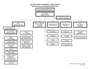 Business Services Organizational Chart in Word and Pdf formats