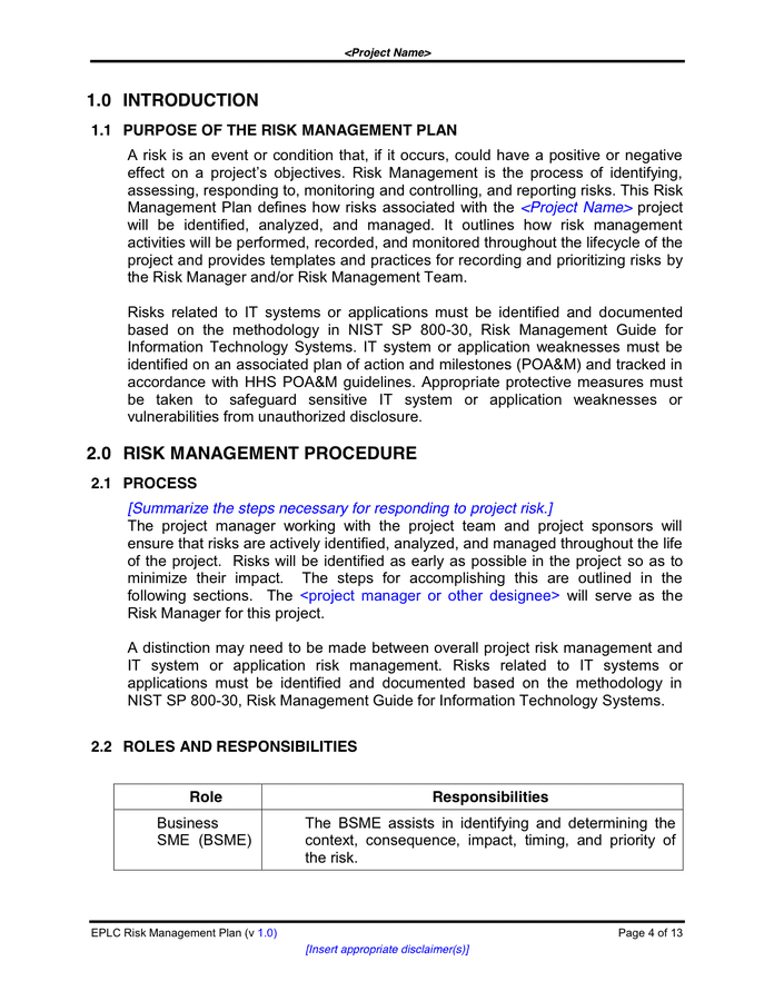 Risk Management Plan in Word and Pdf formats - page 5 of 13