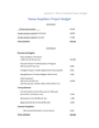 Project Budget Examples in Word and Pdf formats