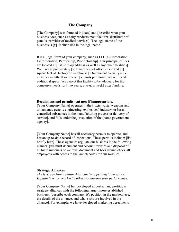 Business Plan Template in Word and Pdf formats - page 8 of 13