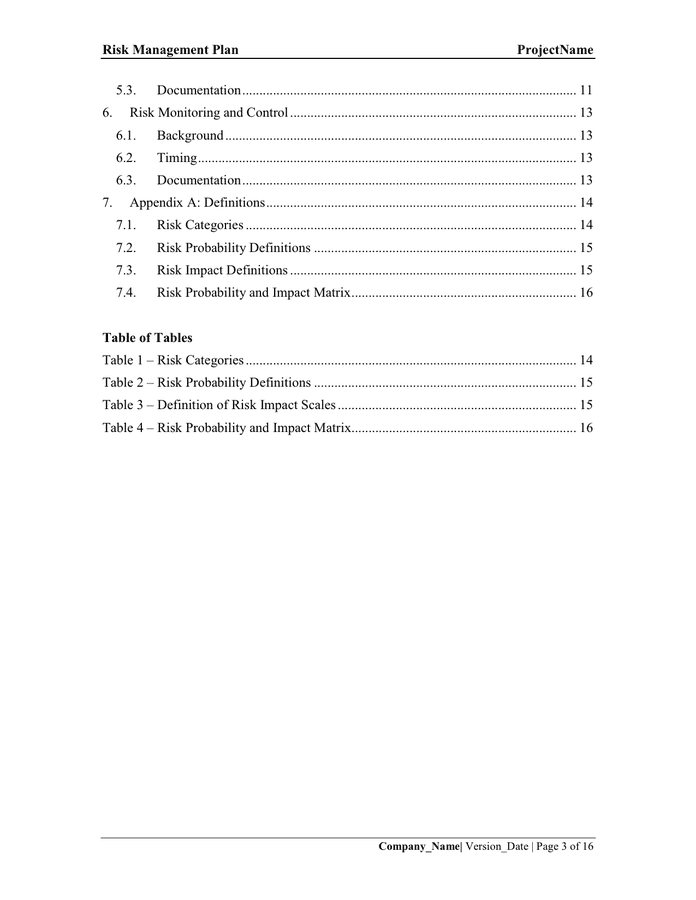 Risk Management Plan Template in Word and Pdf formats - page 3 of 16