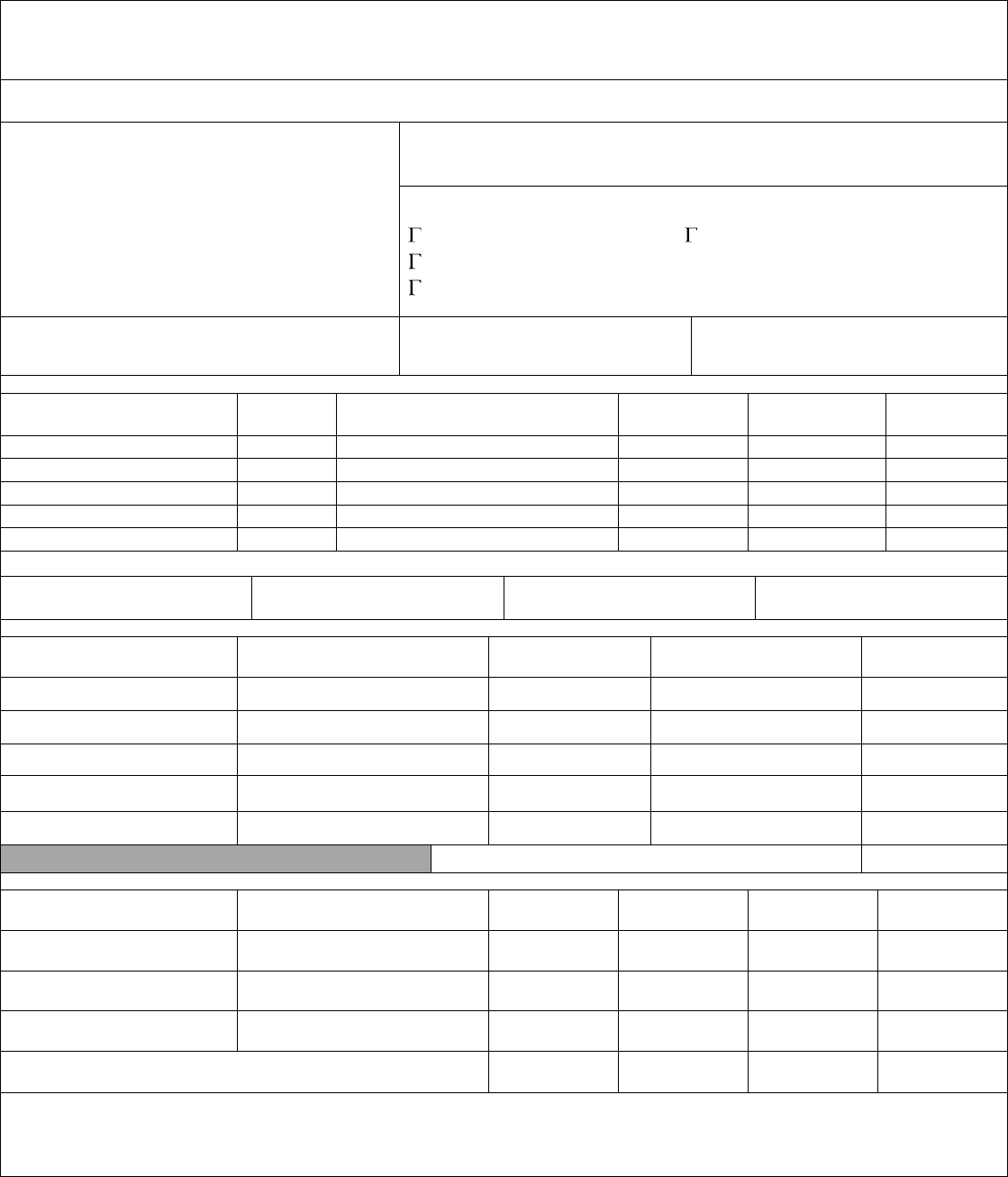 Individual Debtor Financial Statement in Word and Pdf formats