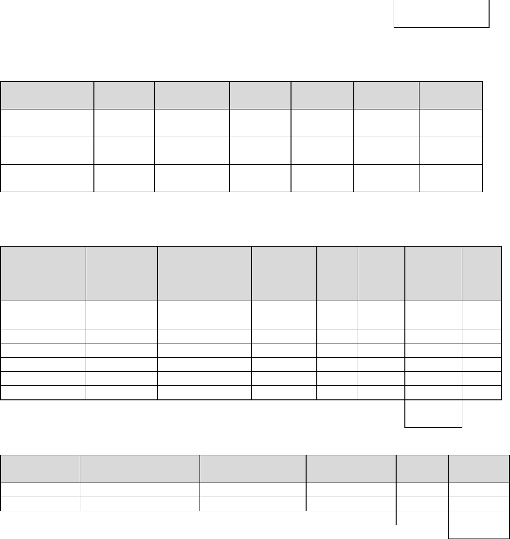 PERSONAL FINANCIAL STATEMENT Template in Word and Pdf formats - page 3 of 5
