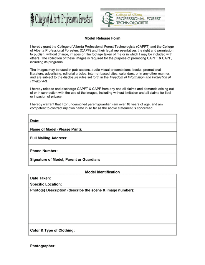 Model Release Form - download free documents for PDF, Word and Excel