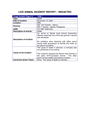 Cargo Incident Report in Word and Pdf formats