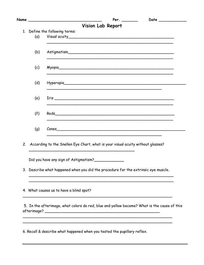 Vision Lab Report in Word and Pdf formats