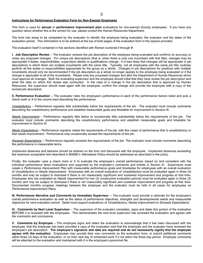 PERFORMANCE EVALUATION FORM in Word and Pdf formats - page 3 of 3