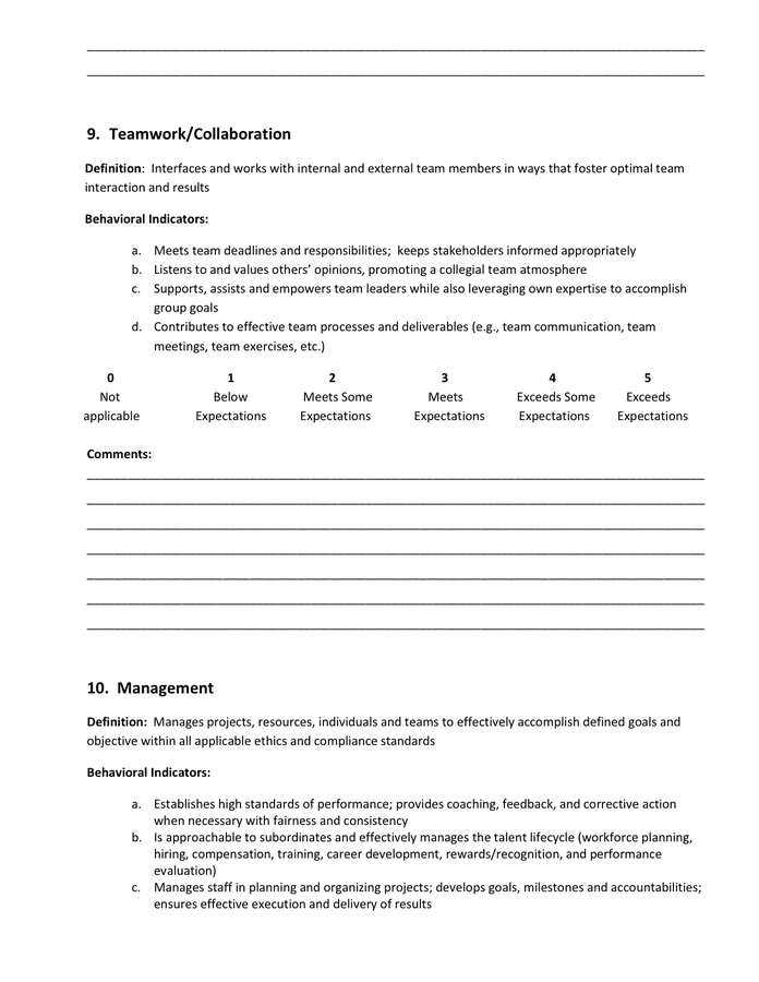 Performance Evaluation Template in Word and Pdf formats - page 6 of 12