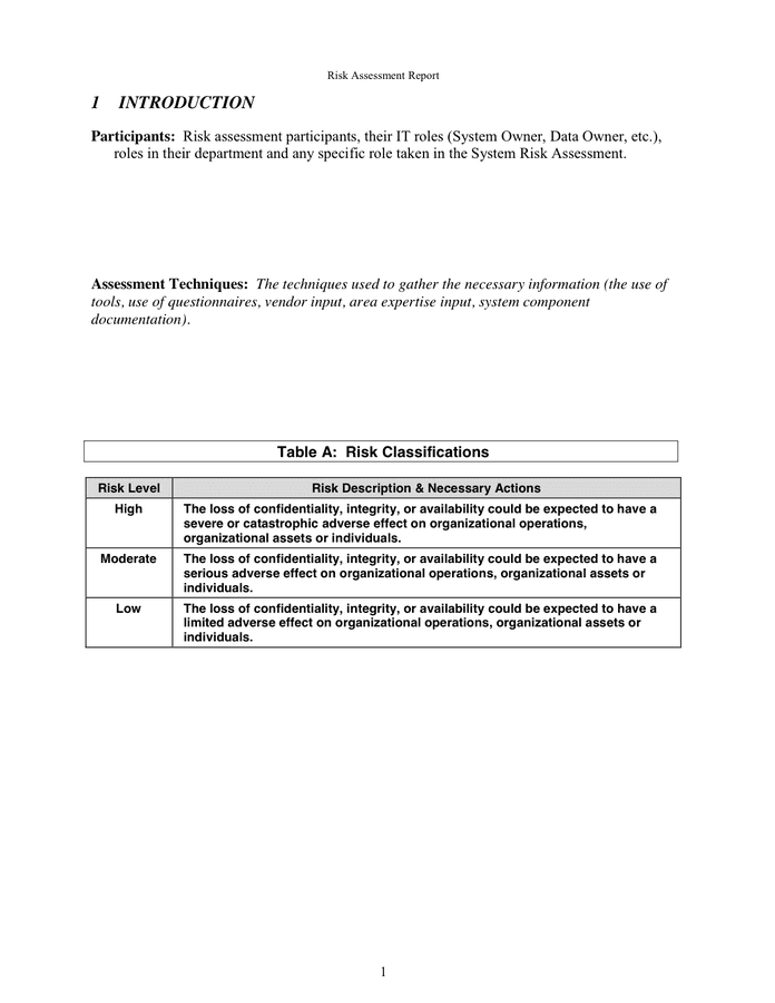 RISK ASSESSMENT REPORT TEMPLATE in Word and Pdf formats - page 4 of 35