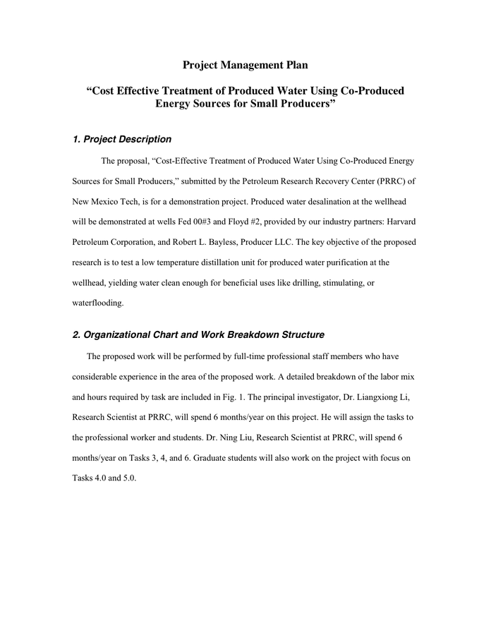 Project Management Plan in Word and Pdf formats