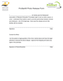 Photo/Image/Voice Release Form in Word and Pdf formats