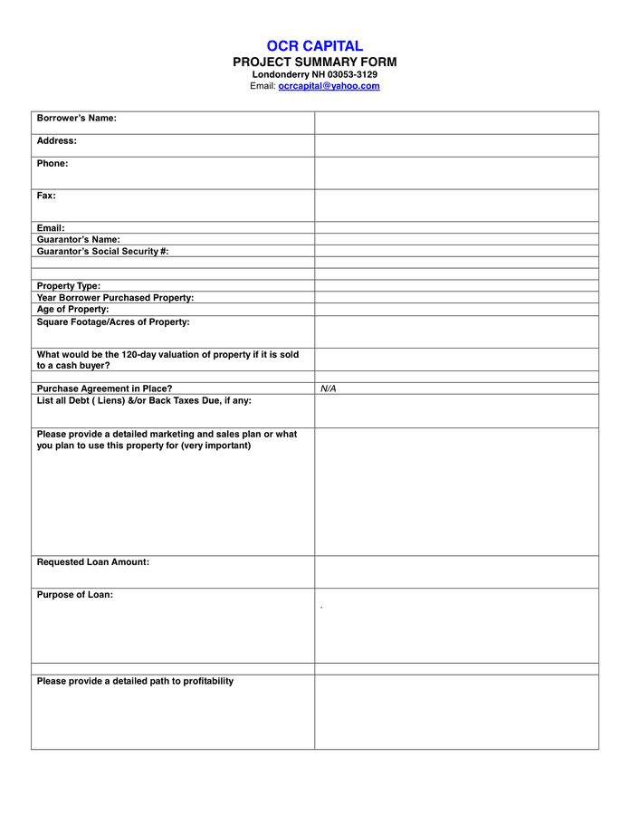 EXECUTIVE SUMMARY FORM In Word And Pdf Formats