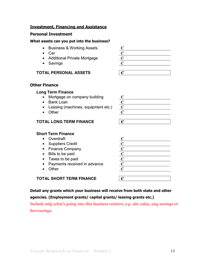 BUSINESS PLAN TEMPLATE in Word and Pdf formats - page 13 of 20