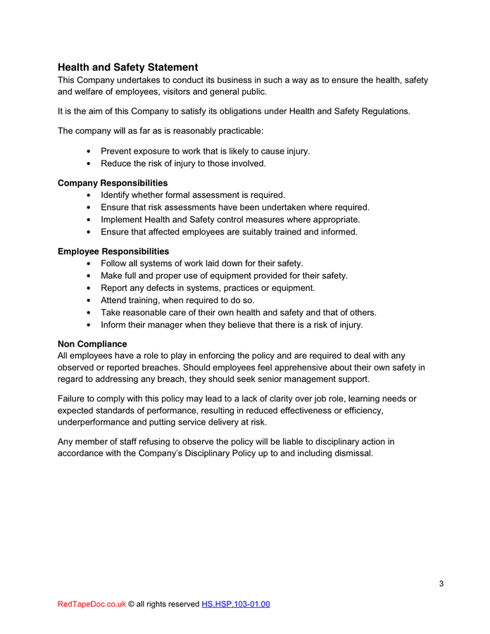 HEALTH AND SAFETY POLICY STATEMENT in Word and Pdf formats - page 3 of 4