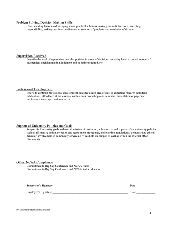 PROFESSIONAL PERFORMANCE EVALUATION in Word and Pdf formats - page 4 of 6