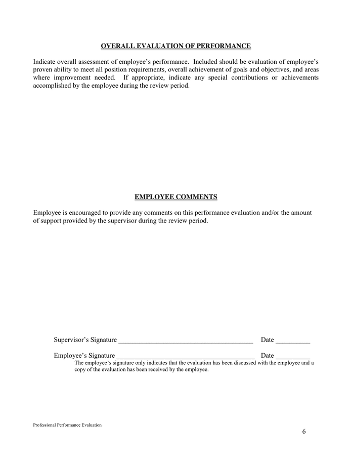 Professional Performance Evaluation In Word And Pdf Formats Page 6 Of 6