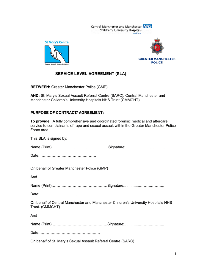 Service Level Agreement - download free documents for PDF, Word and Excel