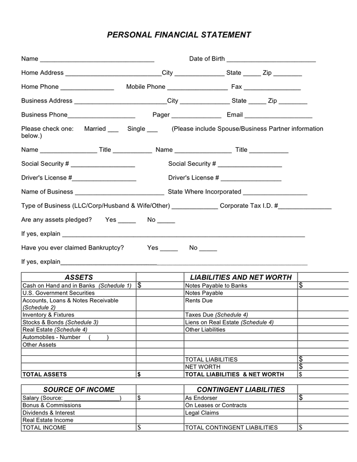 Personal Financial Statement Sample In Word And Pdf Formats